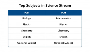 Stream Selection After 10th: Top 9 Expert Guide Tips | GCC